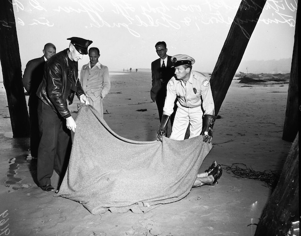 DEAD LOW TIDE - Pulp International