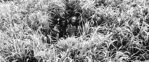 Jitsuko Yoshimura Archives - Pulp International