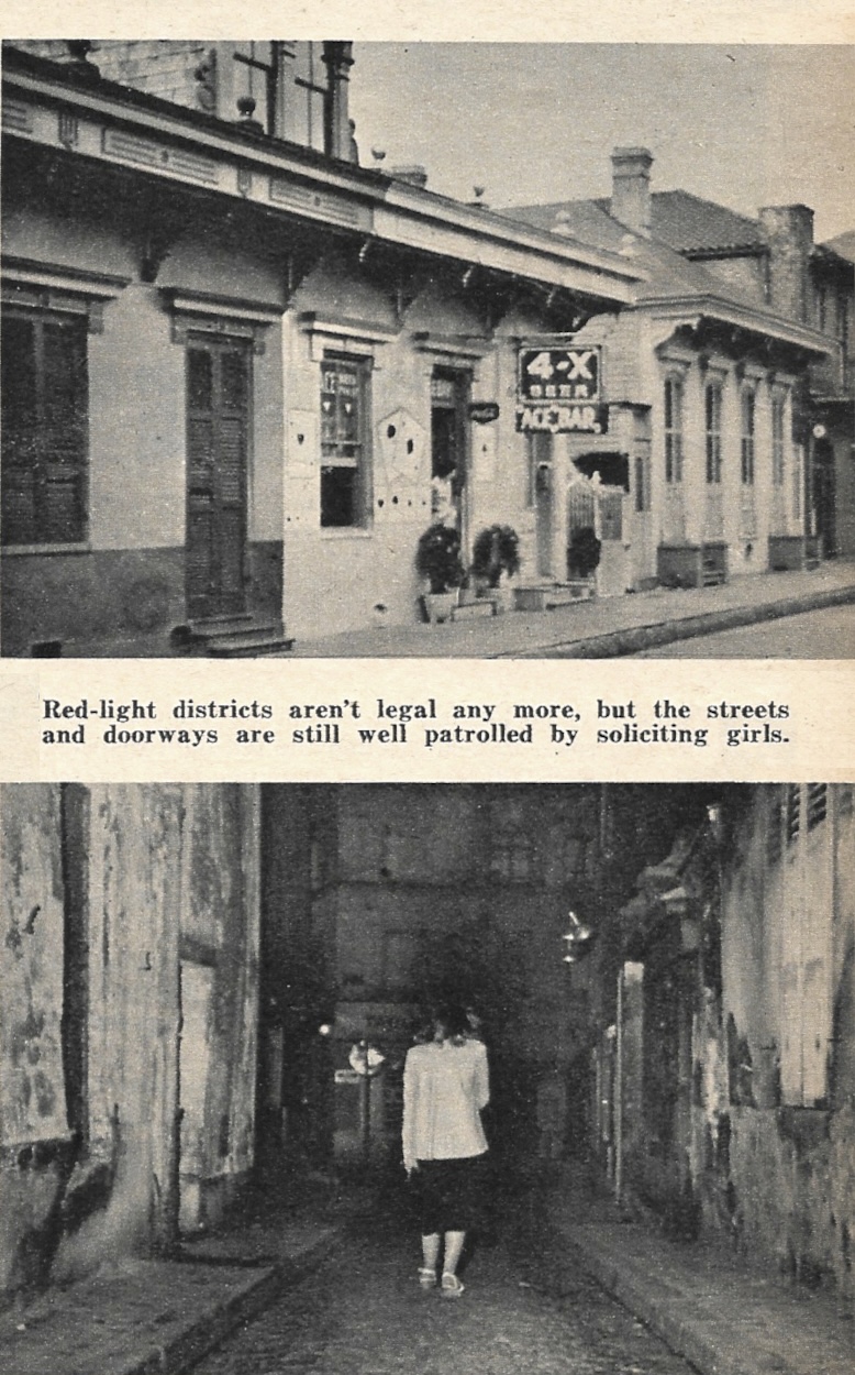 Stag Magazine Archives - Pulp International