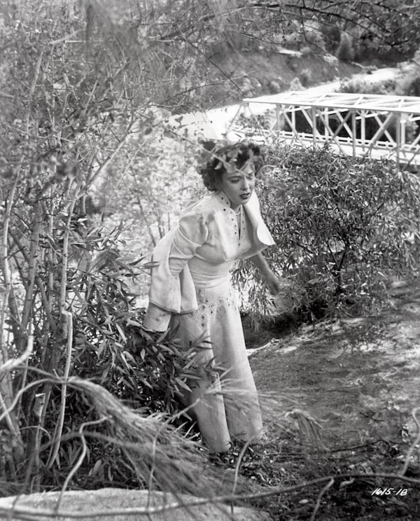 MRS. HIDE - Pulp International